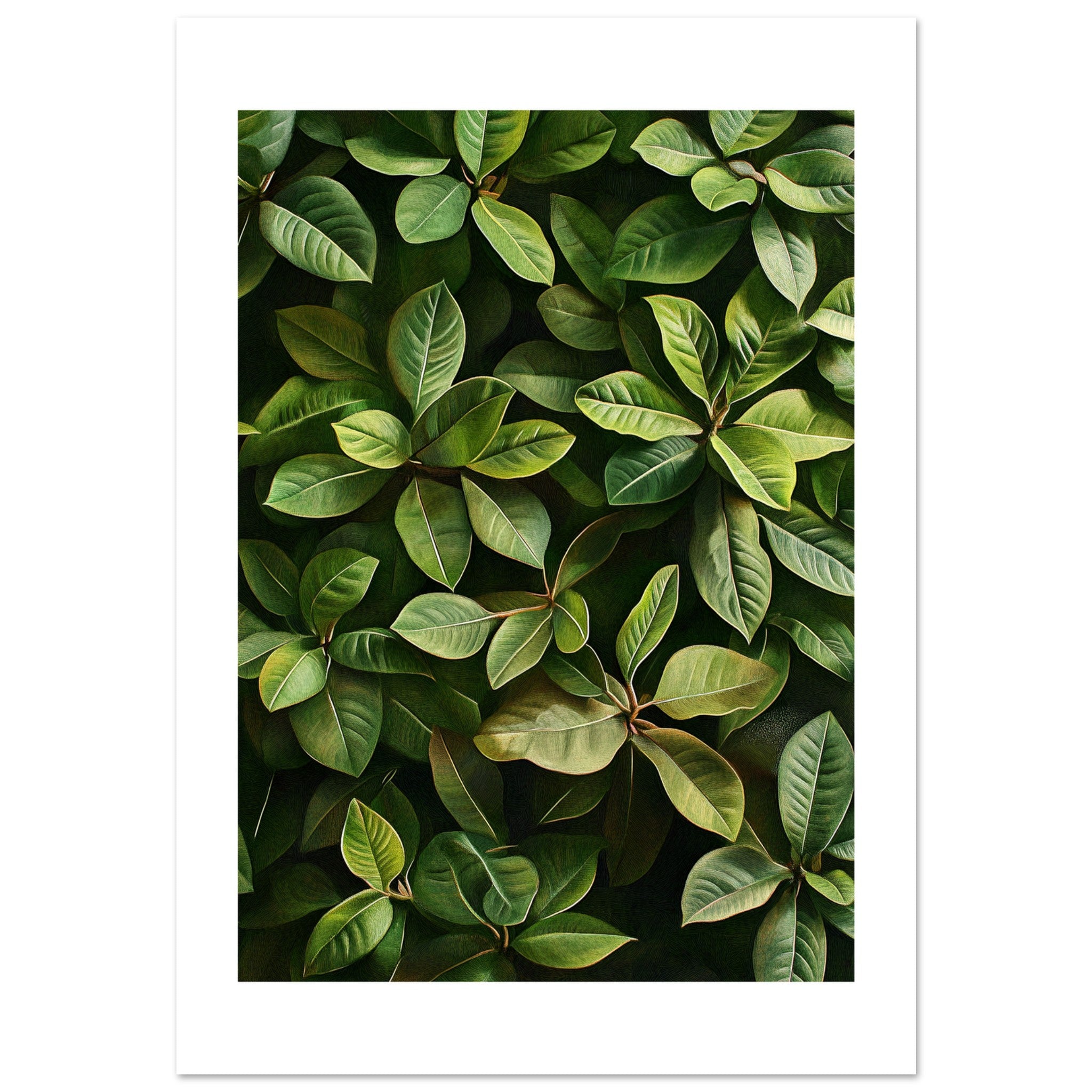 Vibrant Money Tree Poster - Elevate Your Space Today! – Posters One Hundred