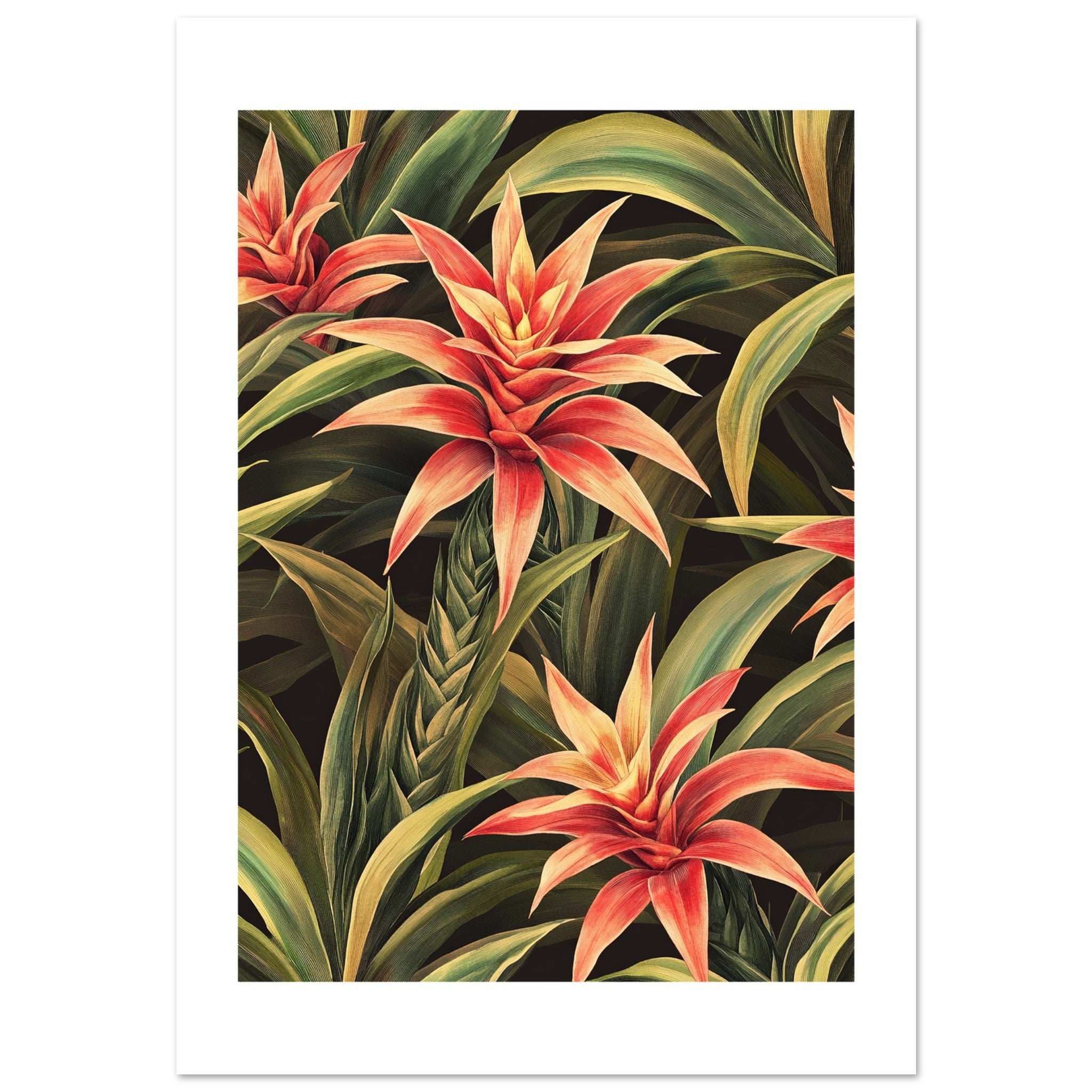 Jugendstil Bromeliad Artwork: Nature's Elegance Awaits – Posters One ...